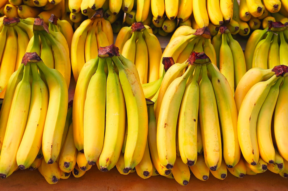 Une nouvelle variété de banane, bio, fait son apparition aux Antilles ...