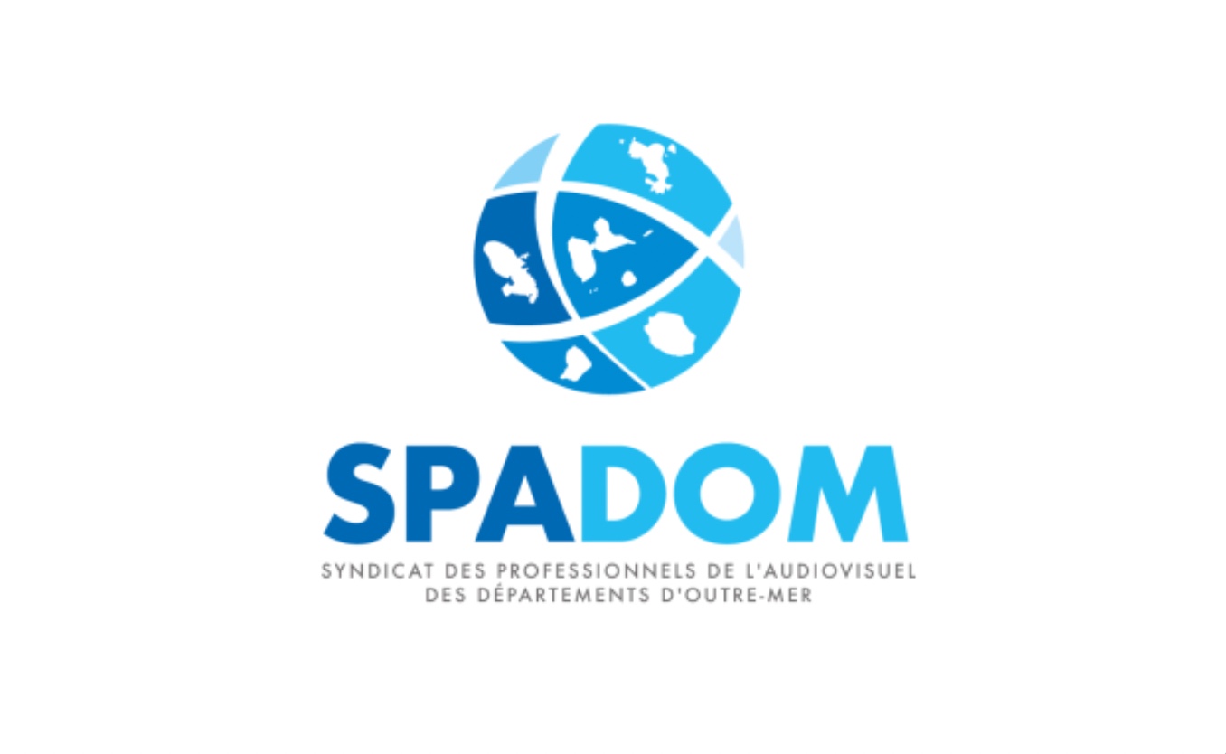 Constitution du nouveau SPADOM : les acteurs privés ultramarins de l ...