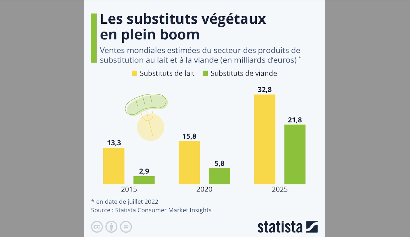 Alimentation : les substituts végétaux en plein boom | Mémento l ...