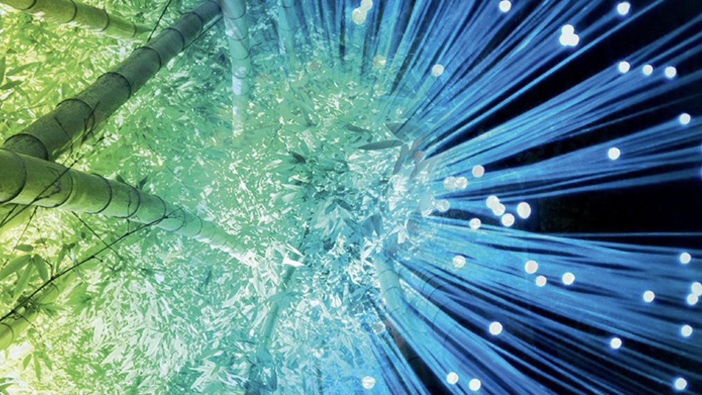 Canal+ TELECOM met l'Intelligence Artificielle au service de ses ...