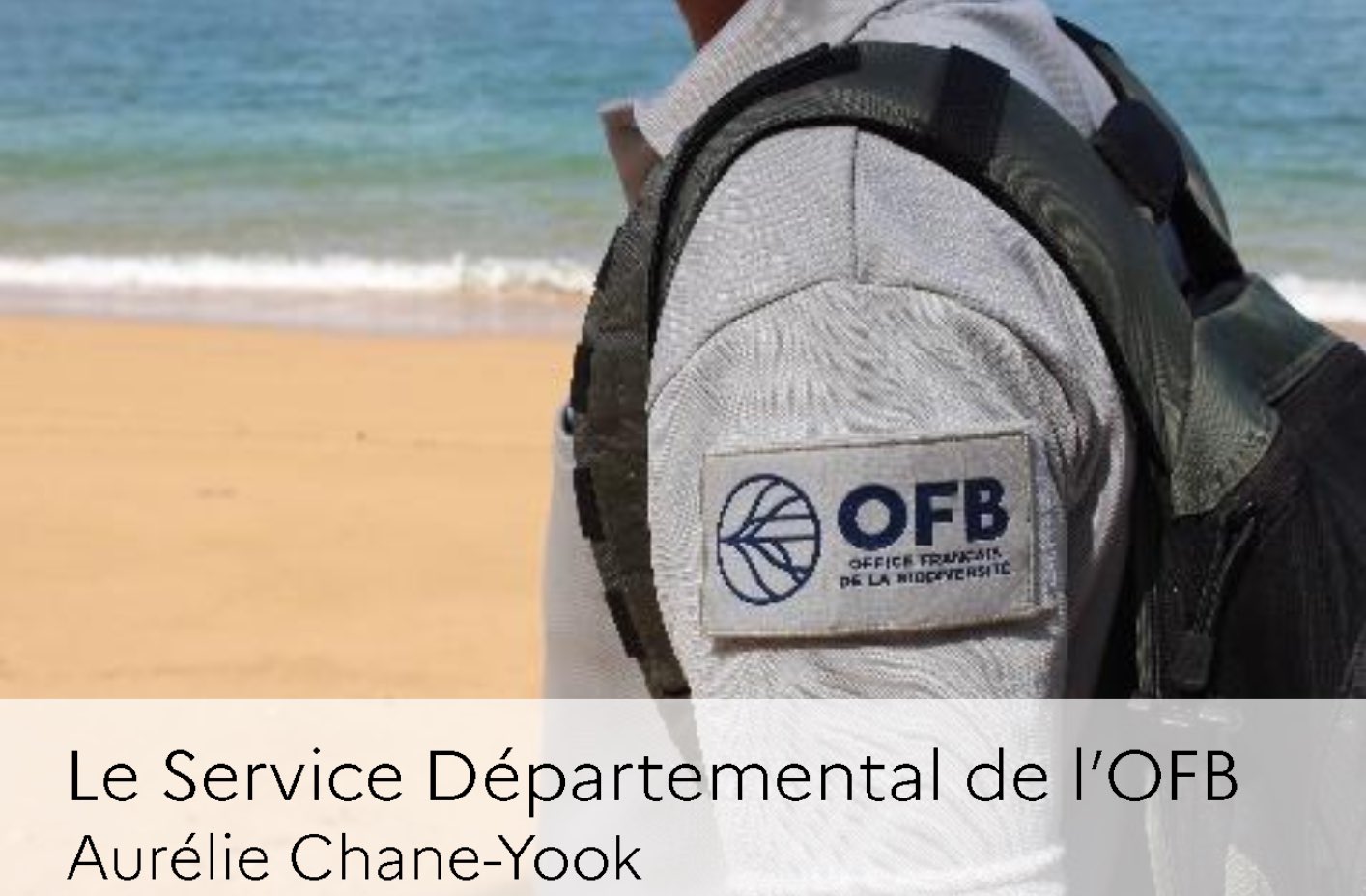 La Brigade Nature Ocean Indien évolue vers le Service départemental de ...