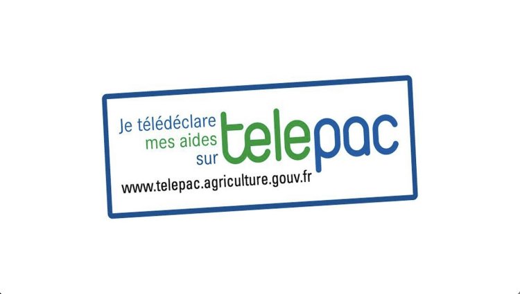 Aide au développement et au maintien du cheptel allaitant pour l'année ...