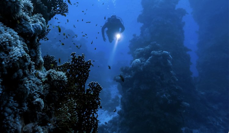 Expertise Grands Fonds Marins : lancement d'une plateforme régionale d ...