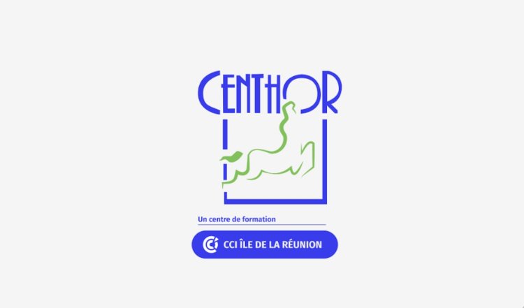 CFA CENTHOR : Immersion dans l'hôtellerie et le tourisme | Mémento l ...