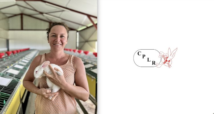 Clémentine Hubert, nouvelle Présidente de la CPLR | Mémento l ...