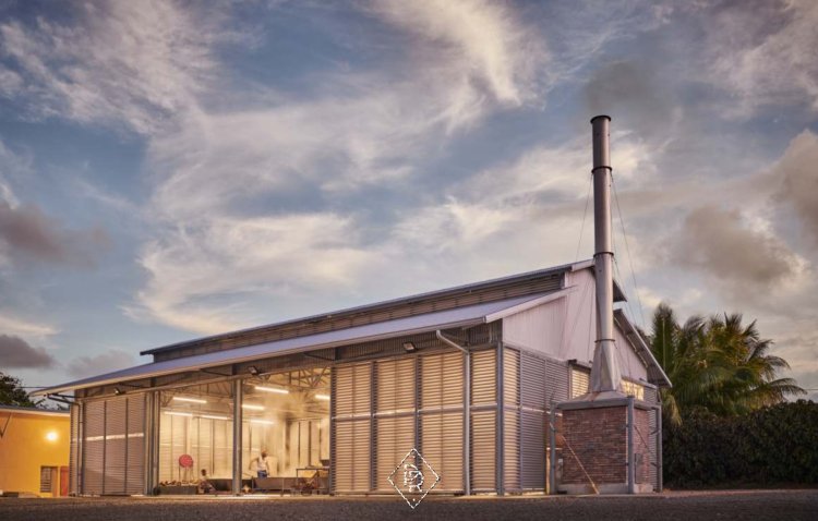 Payet & Rivière présente ses premiers rhums blancs au salon Vinocité | Mémento l'information ...