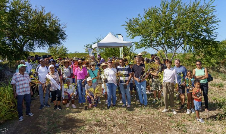 Saint-Leu // Plant'Action 1000 Pié D'Bwa : mobilisation pour la ...