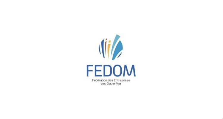 PLFSS 2025 : La LODEOM préservée grâce à l intervention de la ...