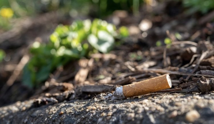 Le Port renforce sa lutte contre la pollution des mégots de cigarette ...