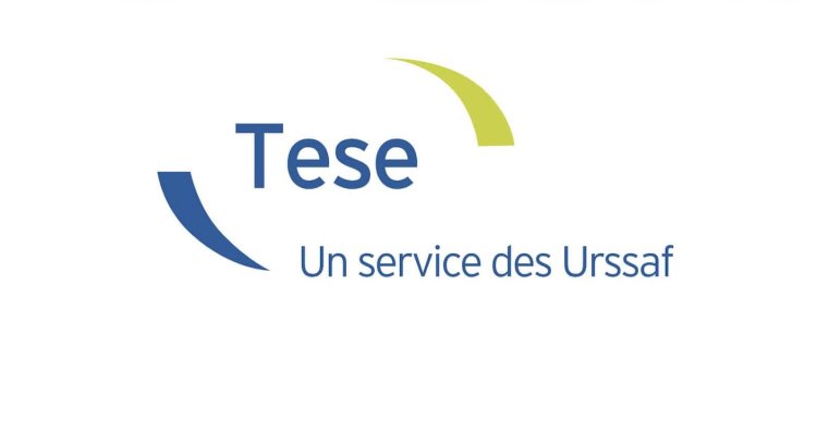 Le TESE adapté en Outre-Mer depuis le 1er janvier 2026 | Mémento l ...
